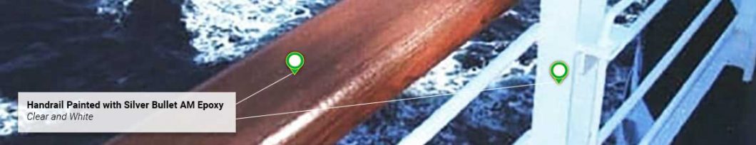 Agion Antimicrobial Epoxy Coating System Bacteria Mold Fungi Protection